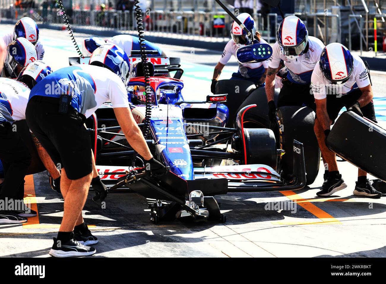 Two pit bulls hi-res stock photography and images - Alamy