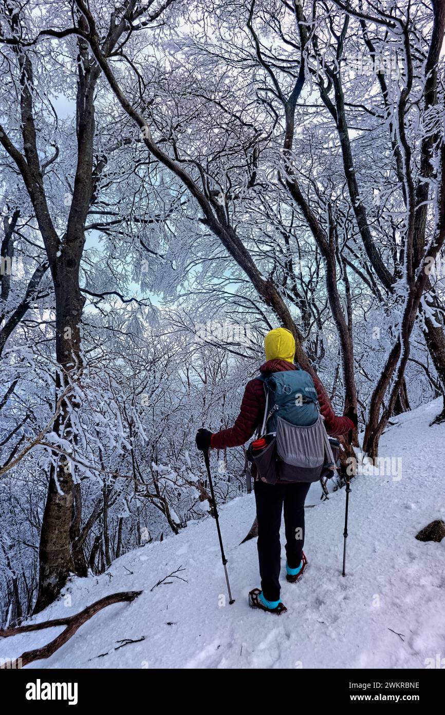 Climbing to the summit of Mount Takami in winter, Nara, Japan Stock ...