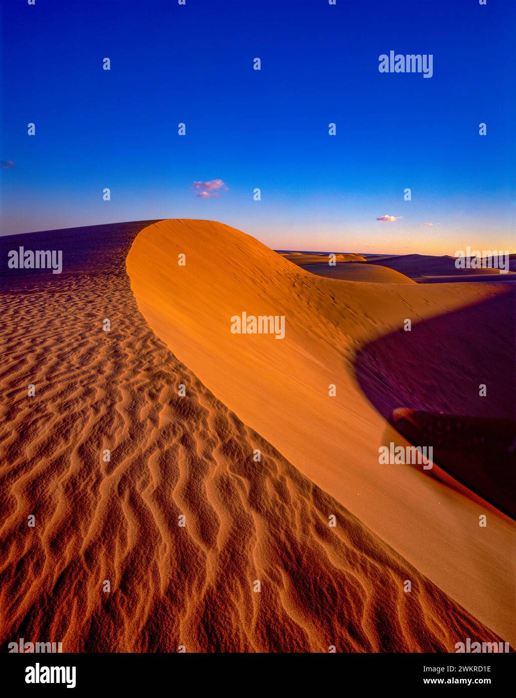 Shifting sand dunes in the evening, Maspalomas, Gran Canaria, Spain ...