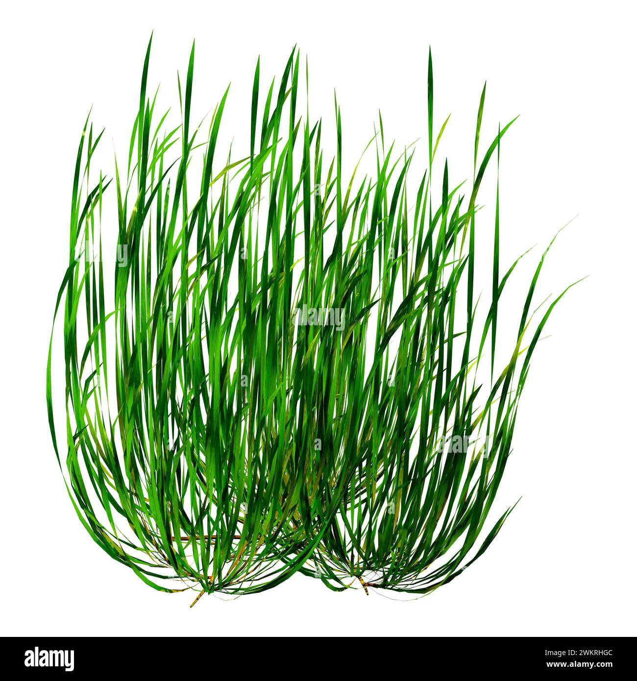 Underwater Grass Cut Out Stock Images And Pictures Alamy