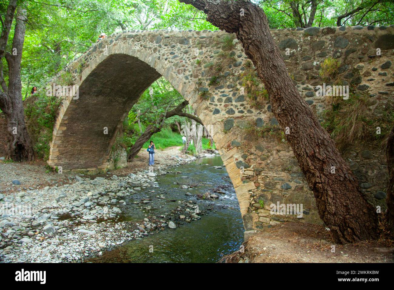 stone bridge in Paphos forest Stock Photo - Alamy