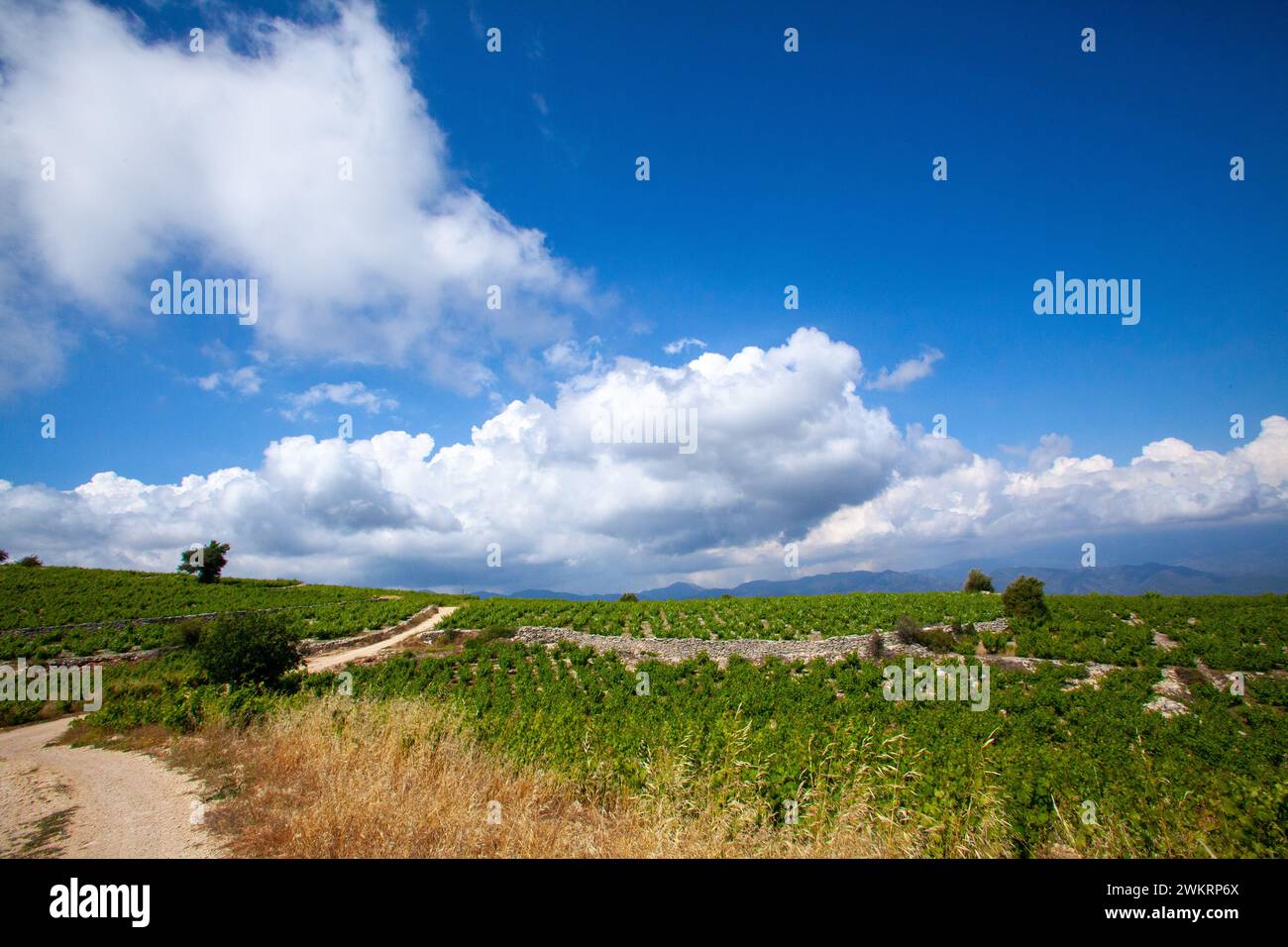 Limassol skyline cyprus europe hi-res stock photography and images - Alamy