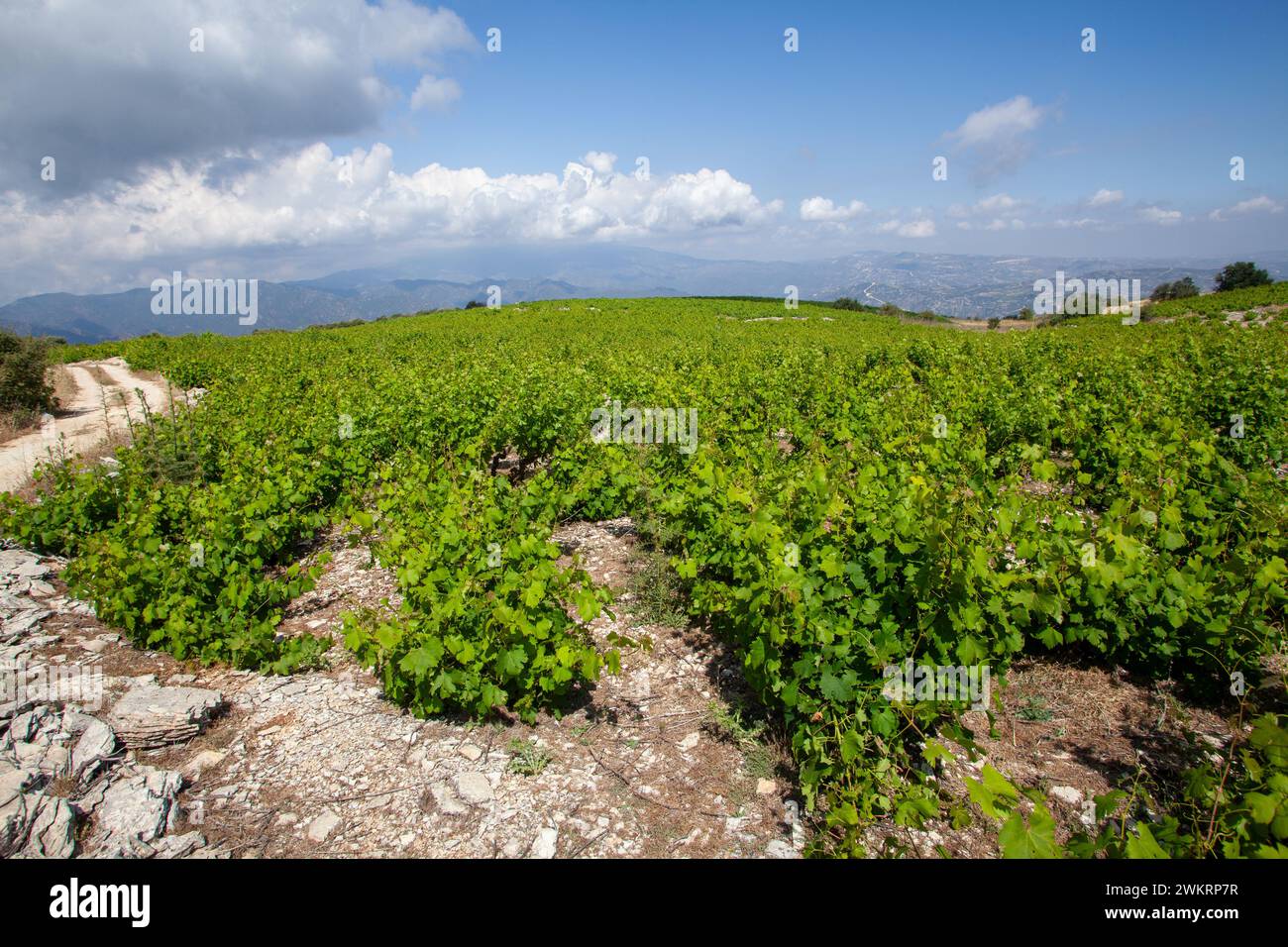 Limassol skyline cyprus europe hi-res stock photography and images - Alamy
