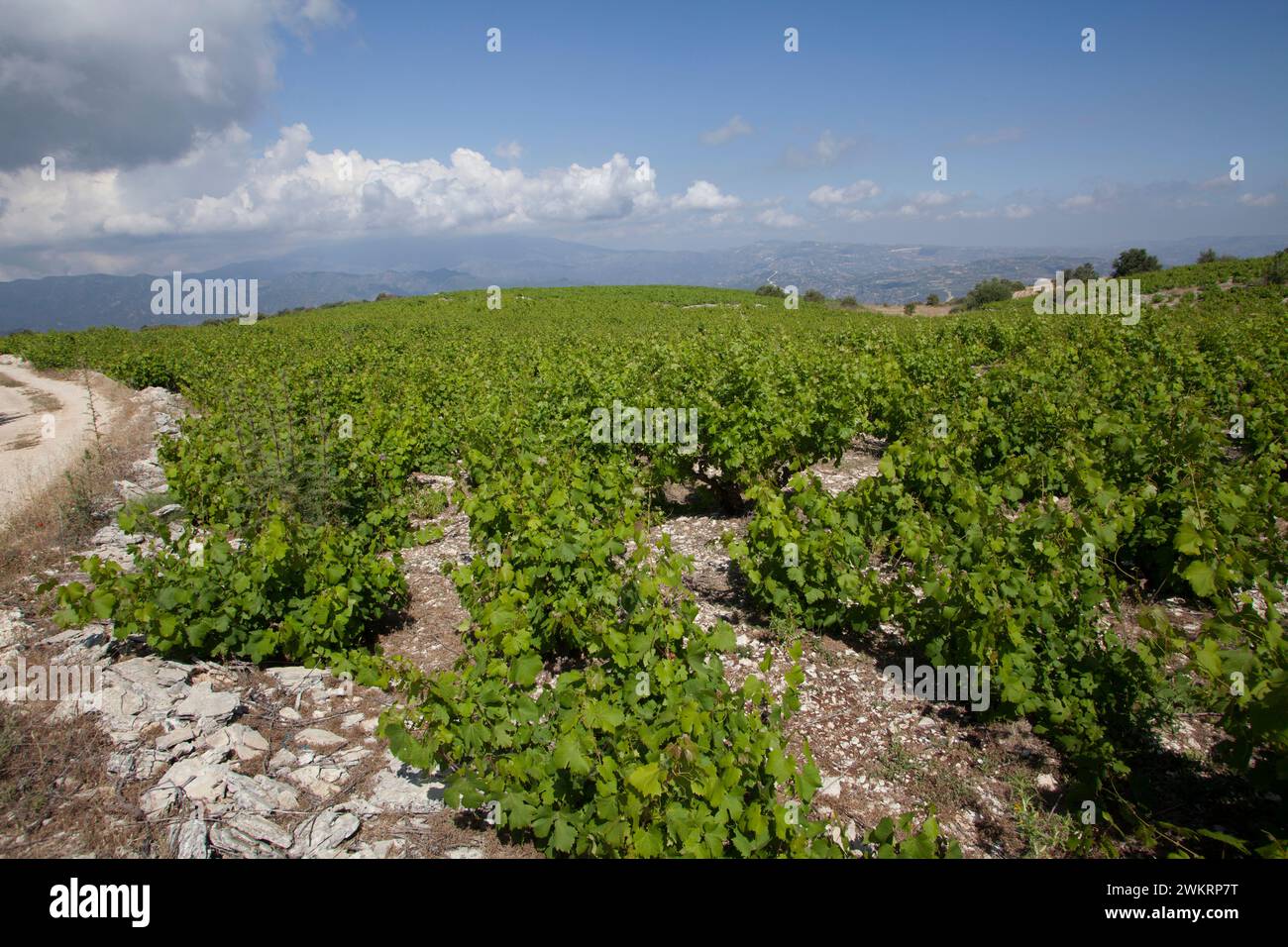 Limassol skyline cyprus europe hi-res stock photography and images - Alamy