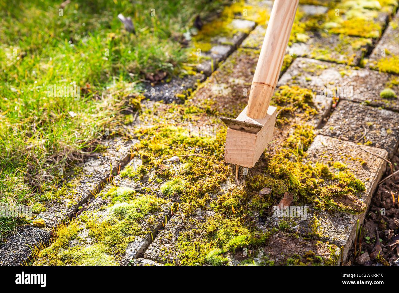 Removing moss patio hi-res stock photography and images - Alamy