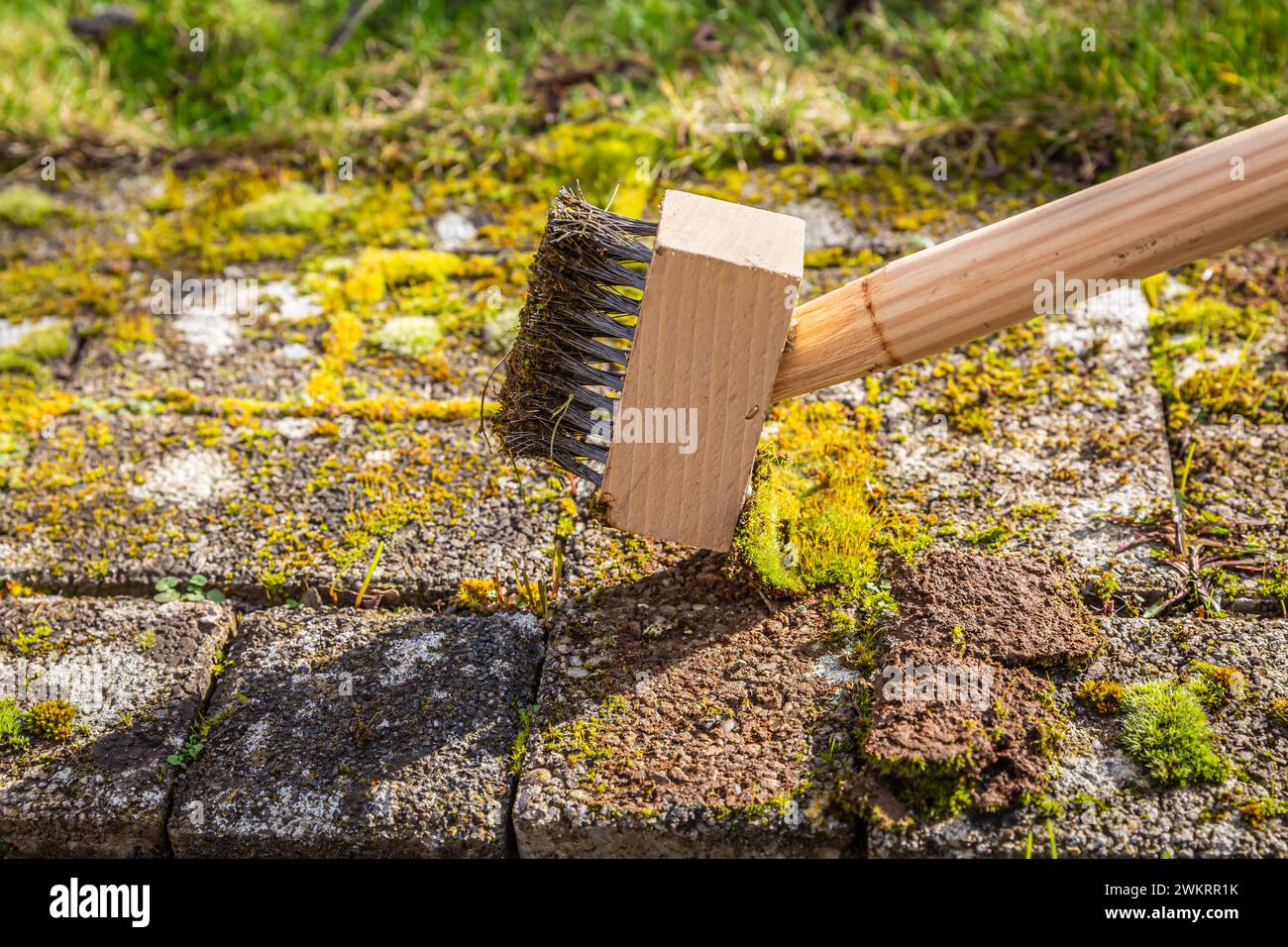 Removing moss patio hi-res stock photography and images - Alamy