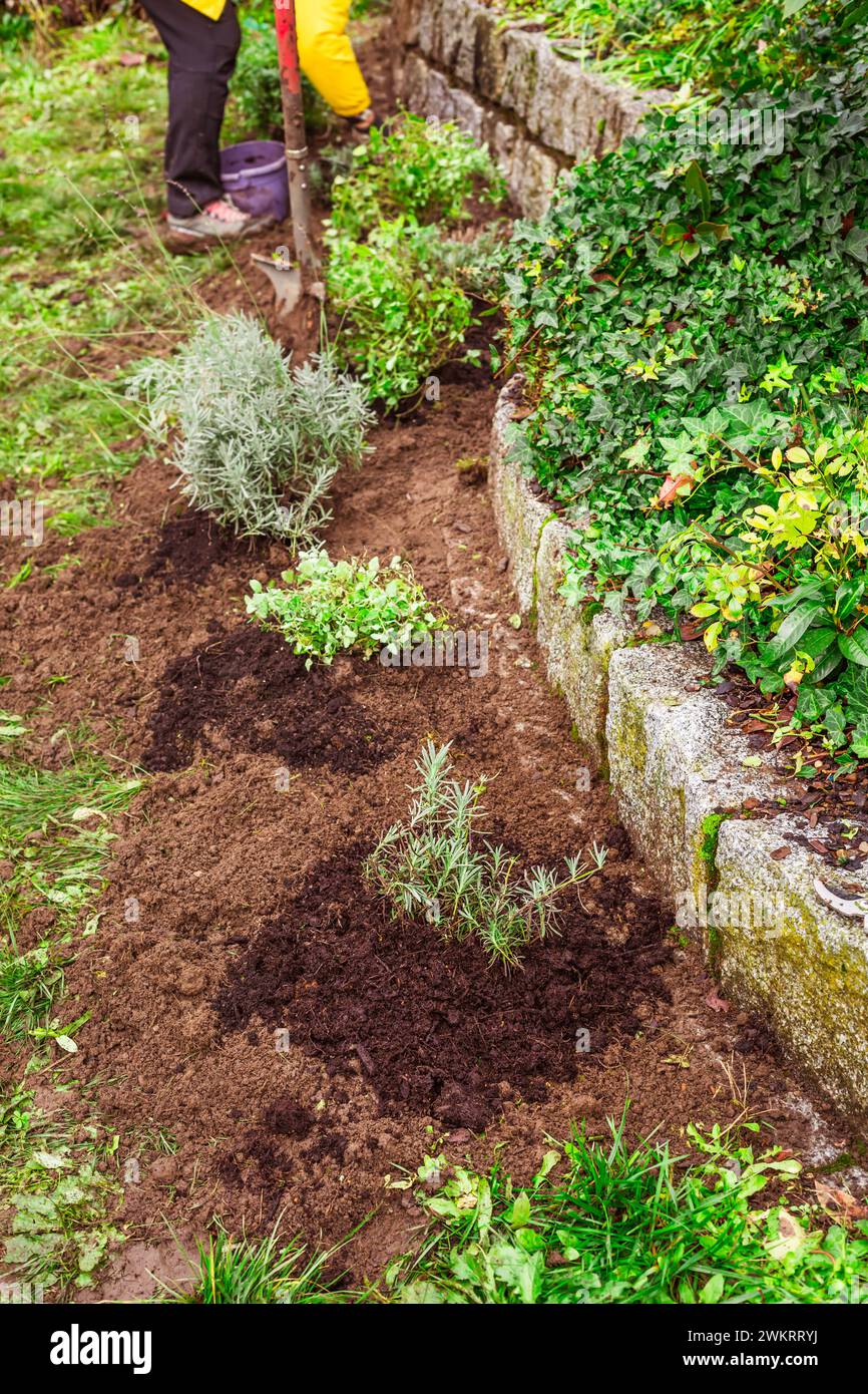 Work planting hi-res stock photography and images - Alamy