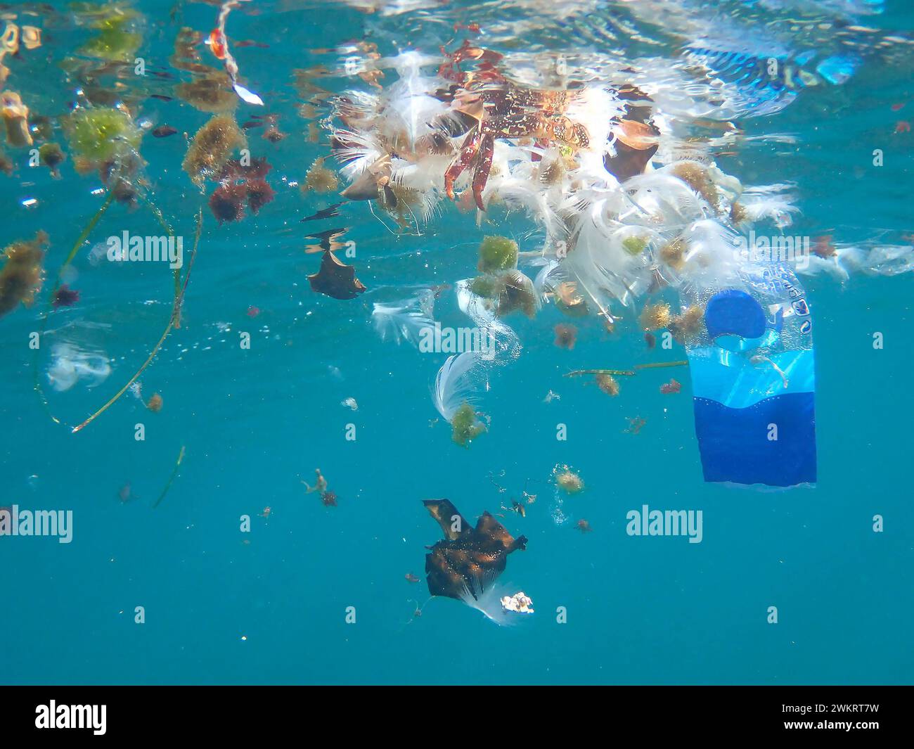 Plastic pollution ocean underwater hi-res stock photography and images ...
