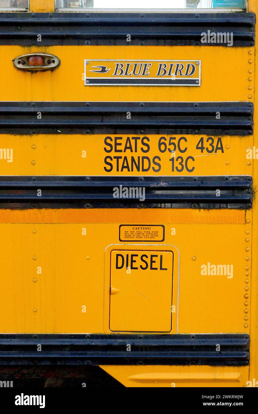 Yellow and black livery of a side panel on an American International ...