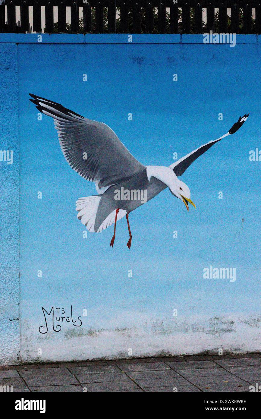 A wall mural created for the Plymouth Selfie Wall project by local ...