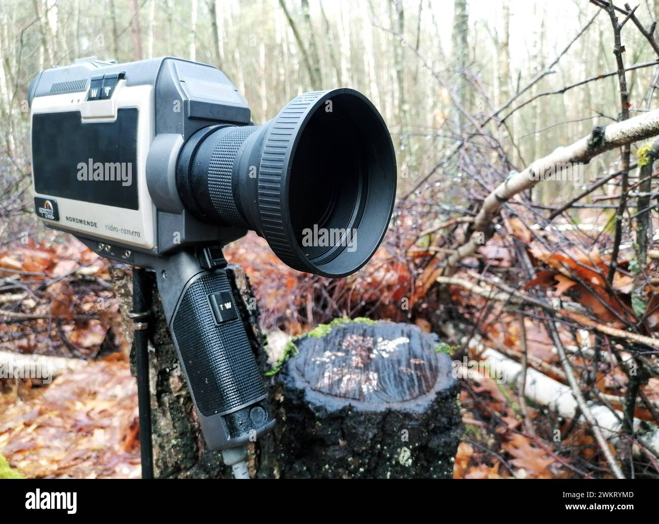 10.02.2024, alte Videokamera im Wald. *** 10 02 2024, old video camera ...