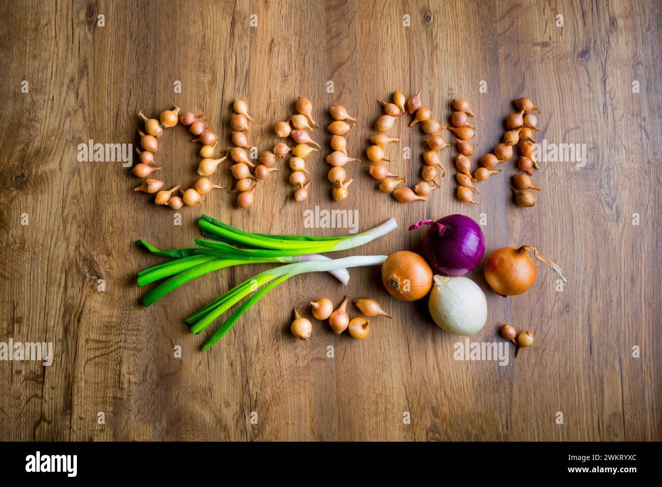 onion, the word onion is written in small bulbs. top view, place for ...