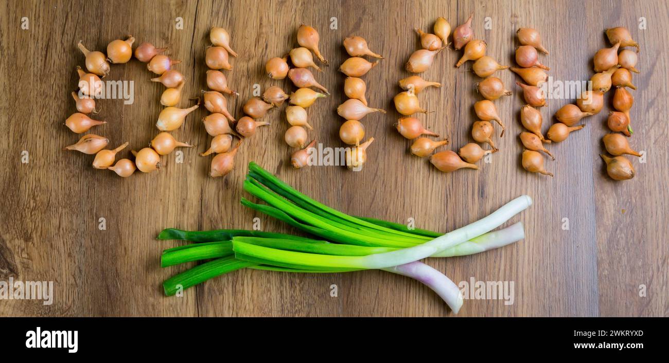 onion, the word onion is written in small bulbs. top view, place for ...