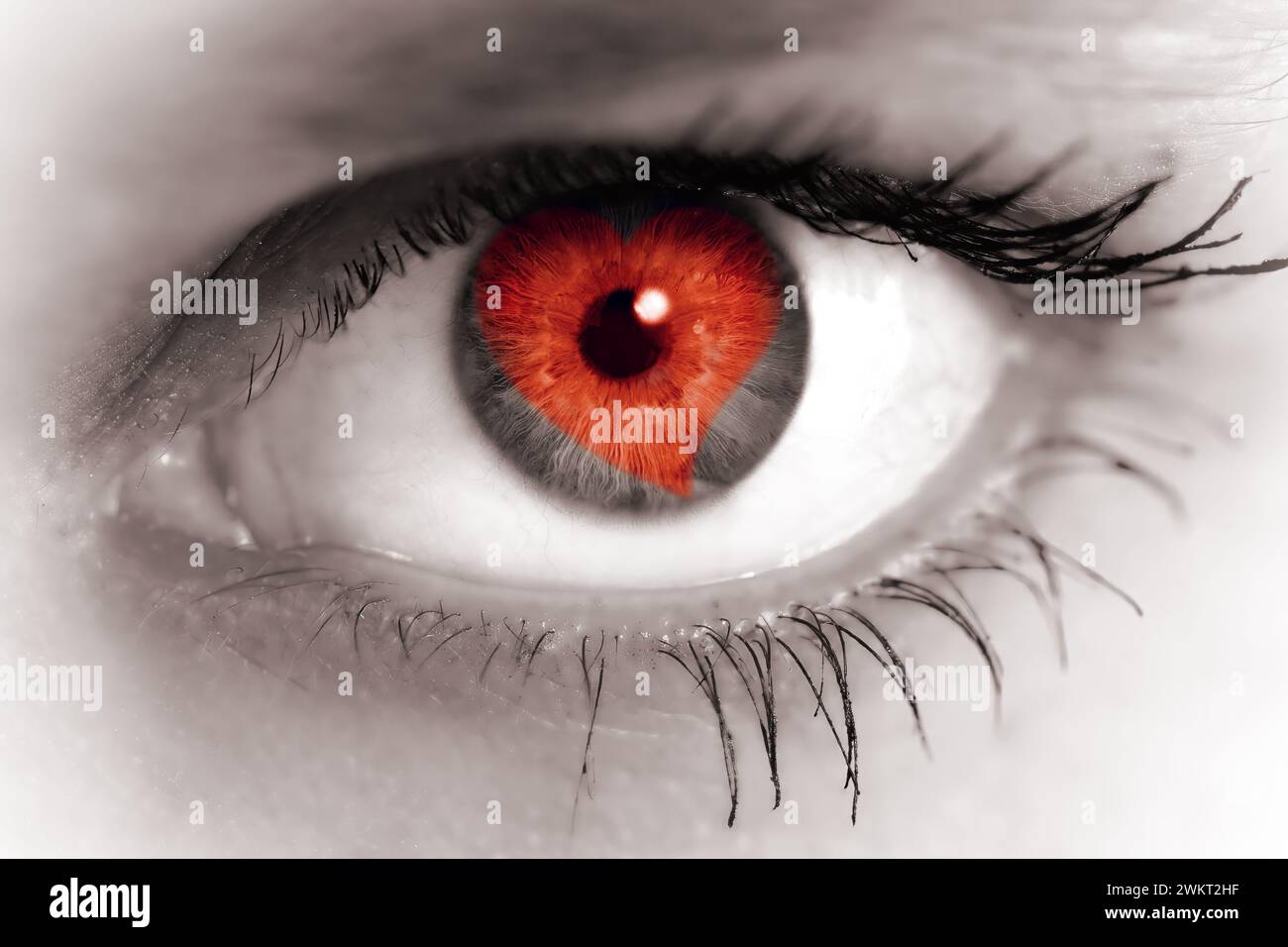 Heart images hi-res stock photography and images - Alamy