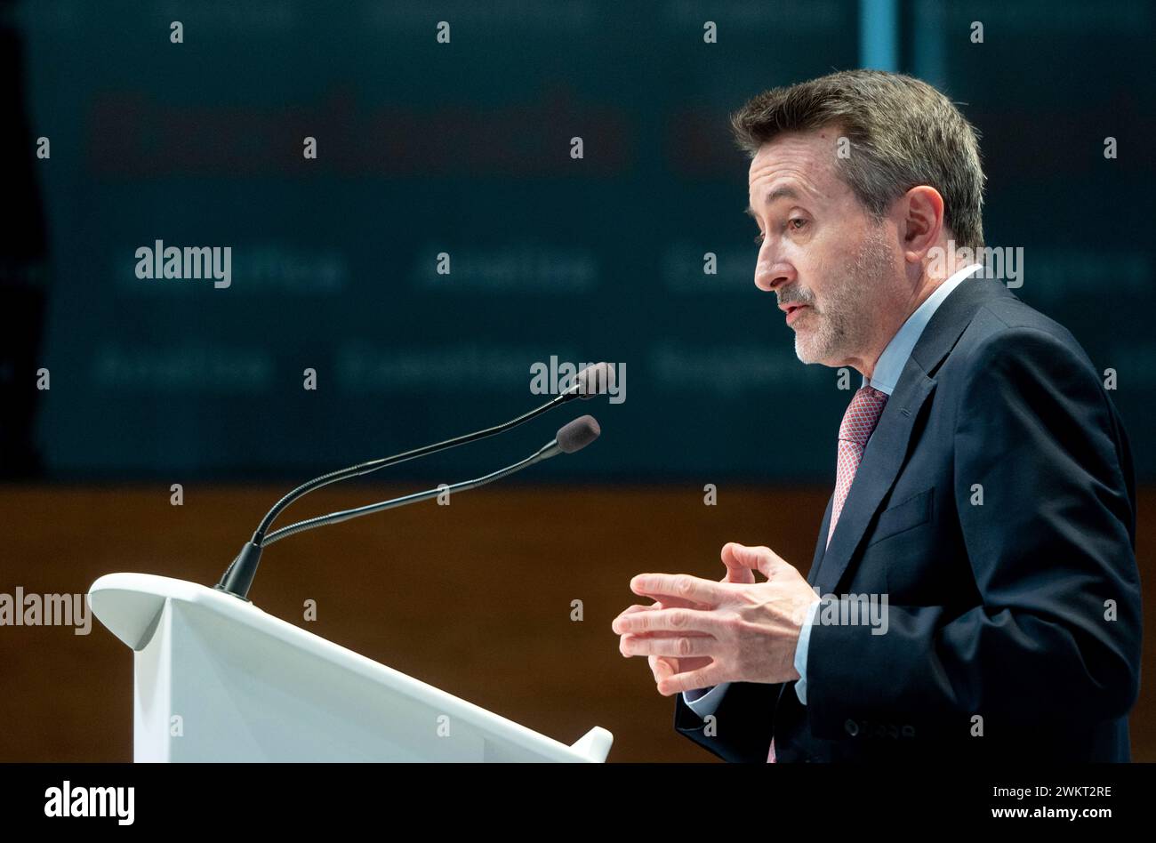 Repsol CEO, Josu Jon Imaz, during the presentation of Repsol's 2024 ...