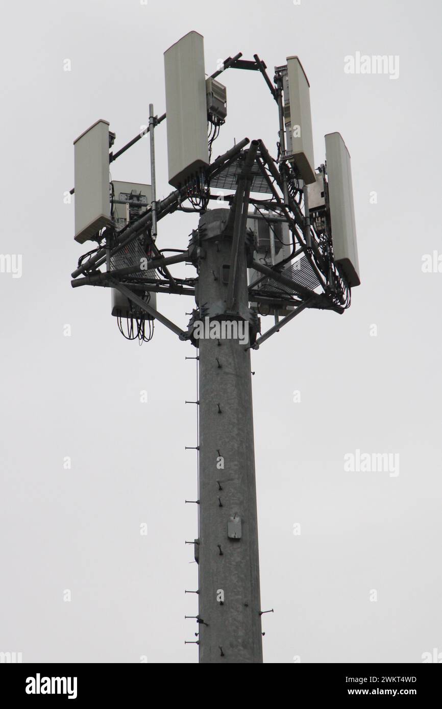 San Antonio, USA. 22nd Feb, 2024. A cellular tower on the southwest ...