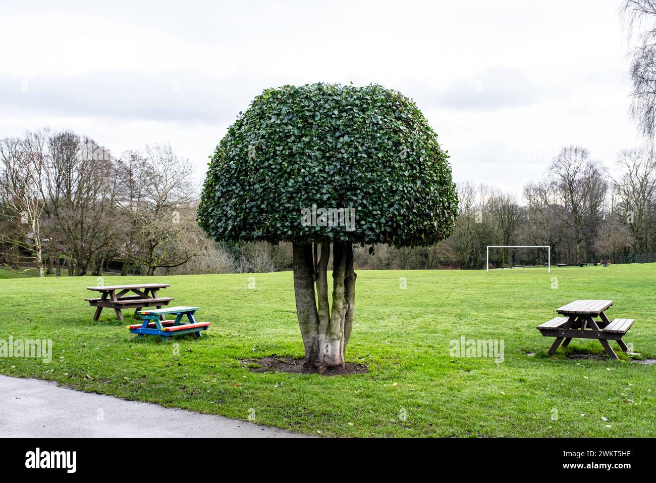Picnic benches park hi-res stock photography and images - Alamy