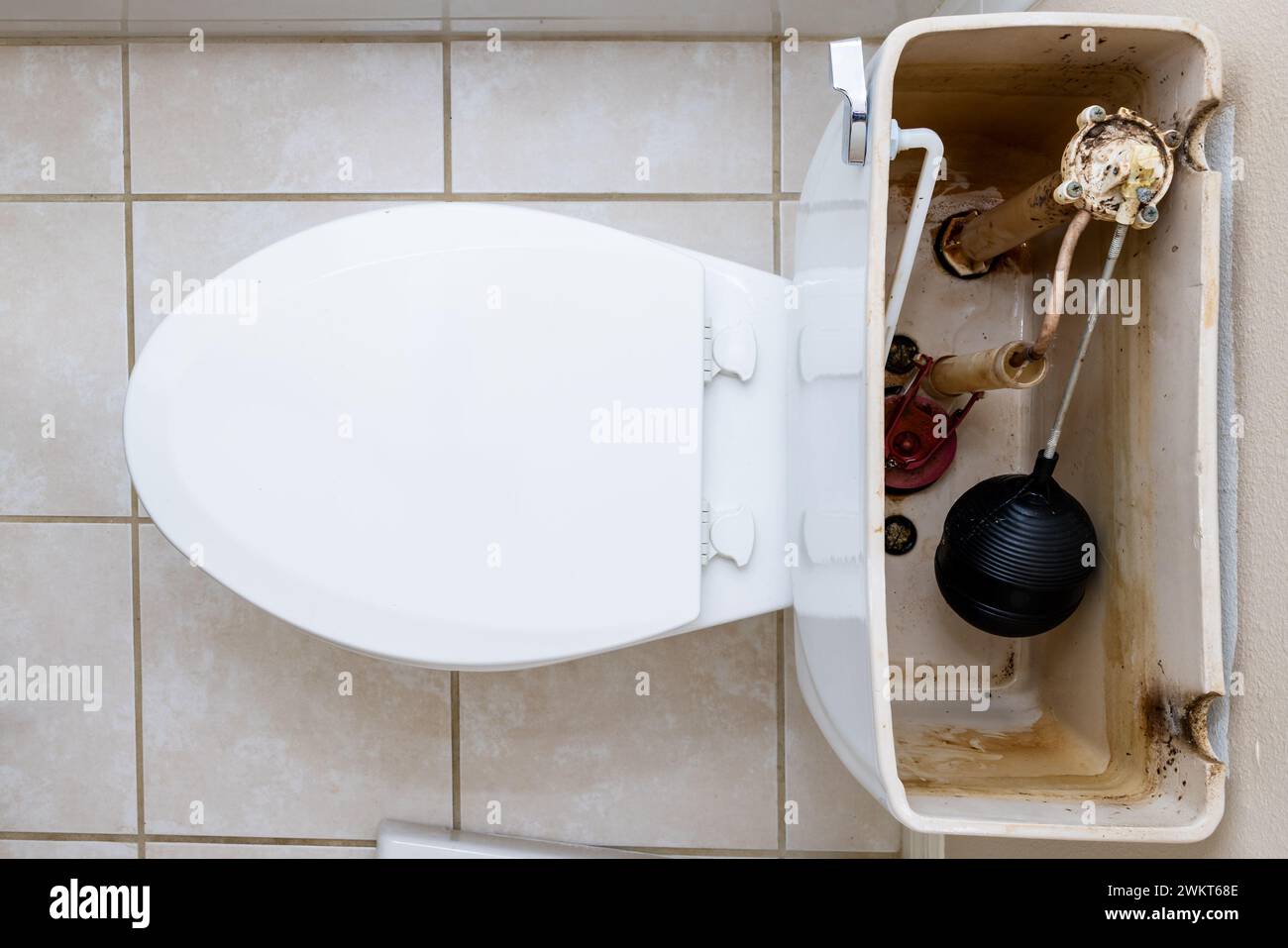 Toilet Leaking From Tank Flush Valve at Gabriella Kintore blog