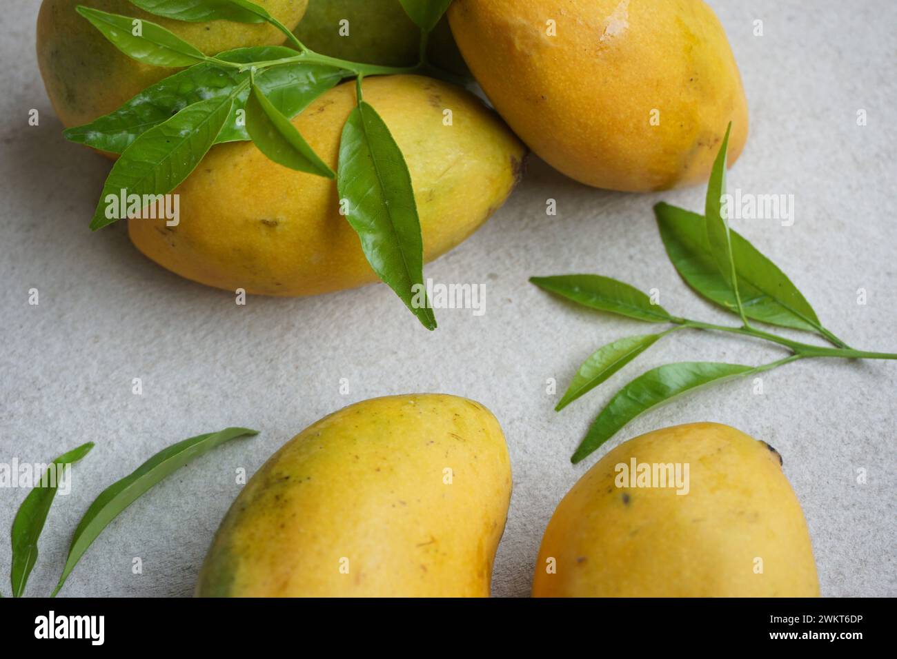 Stock photo of fresh yellow mango Stock Photo - Alamy