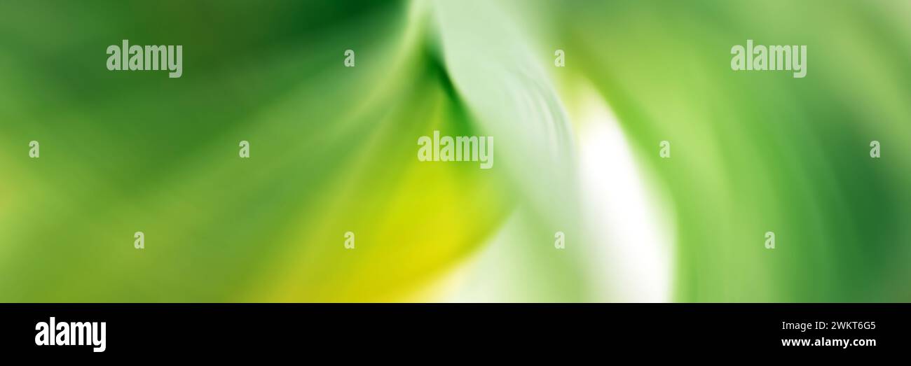 Blurred abstract gradient wave natural green, yellow background banner ...