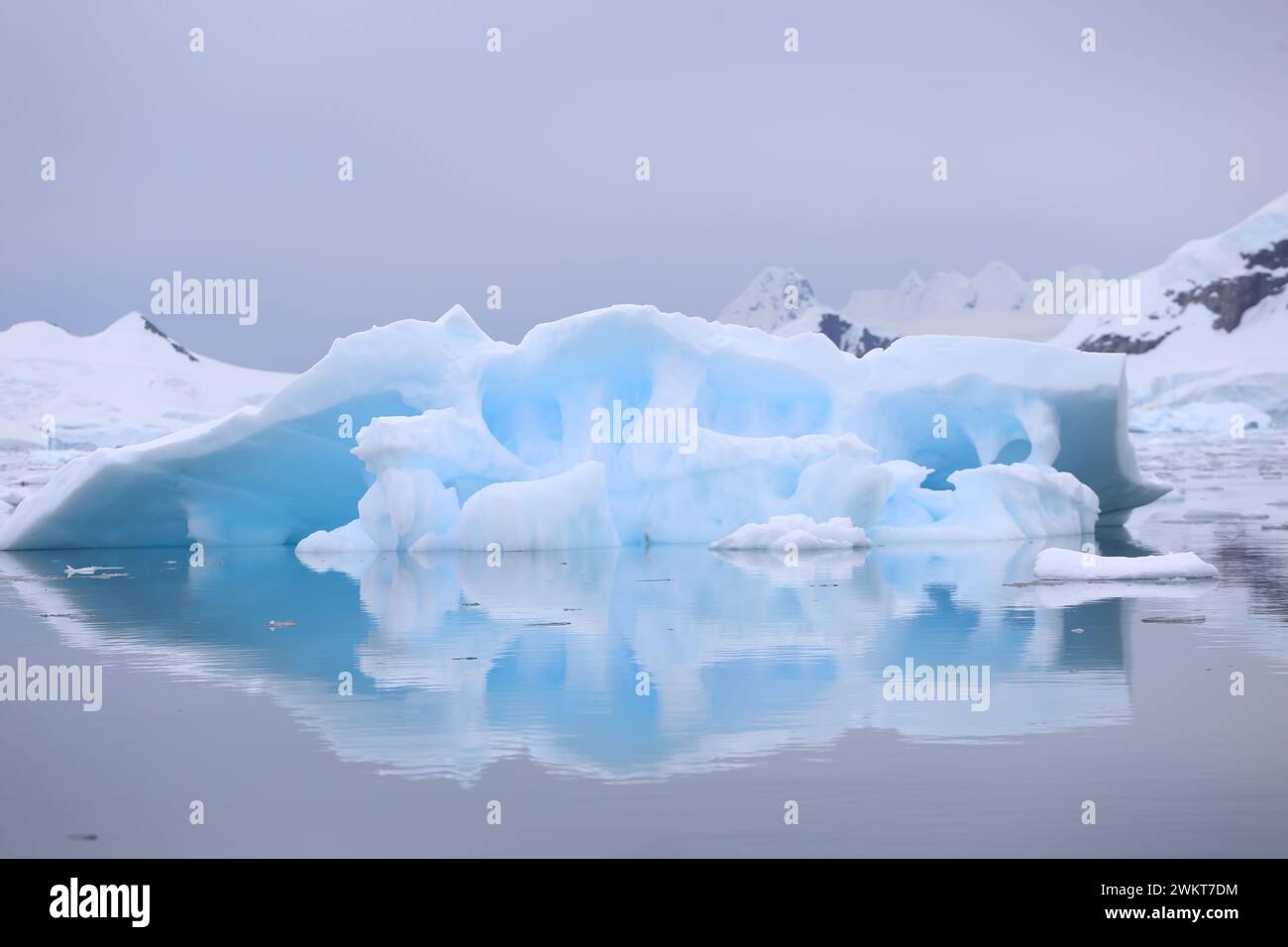 The iceberg floating in Antarctica Stock Photo - Alamy