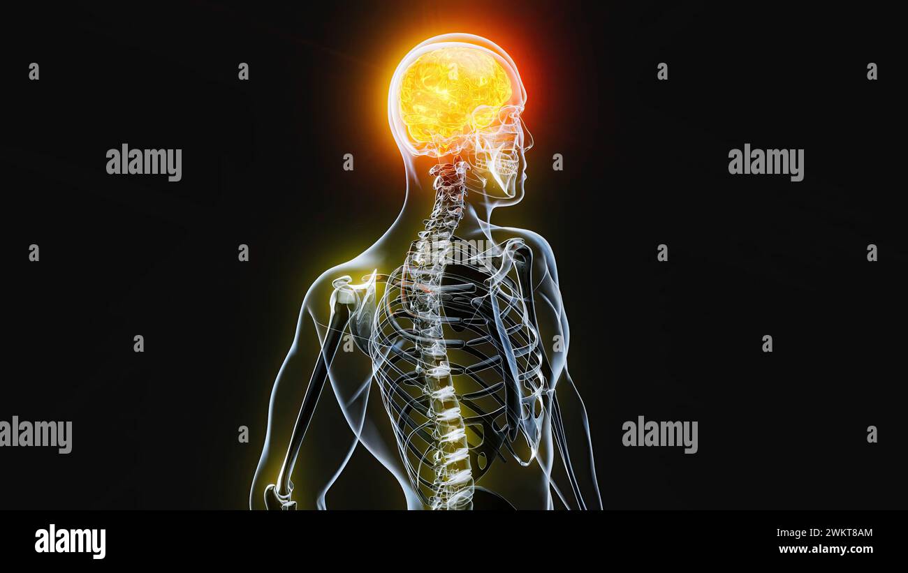 Abstract art of the brain Stock Photo - Alamy