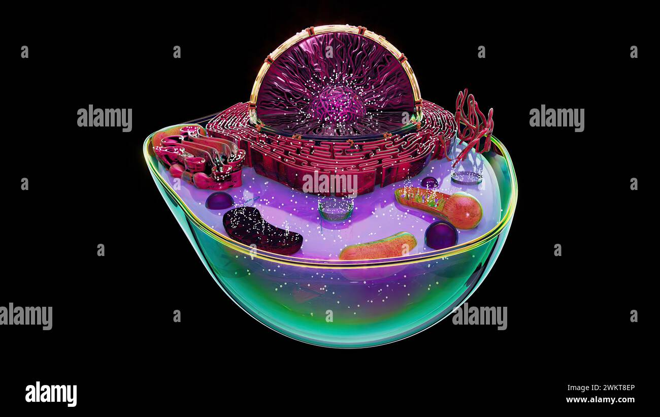 Abstract illustration of the biological cell Stock Photo - Alamy