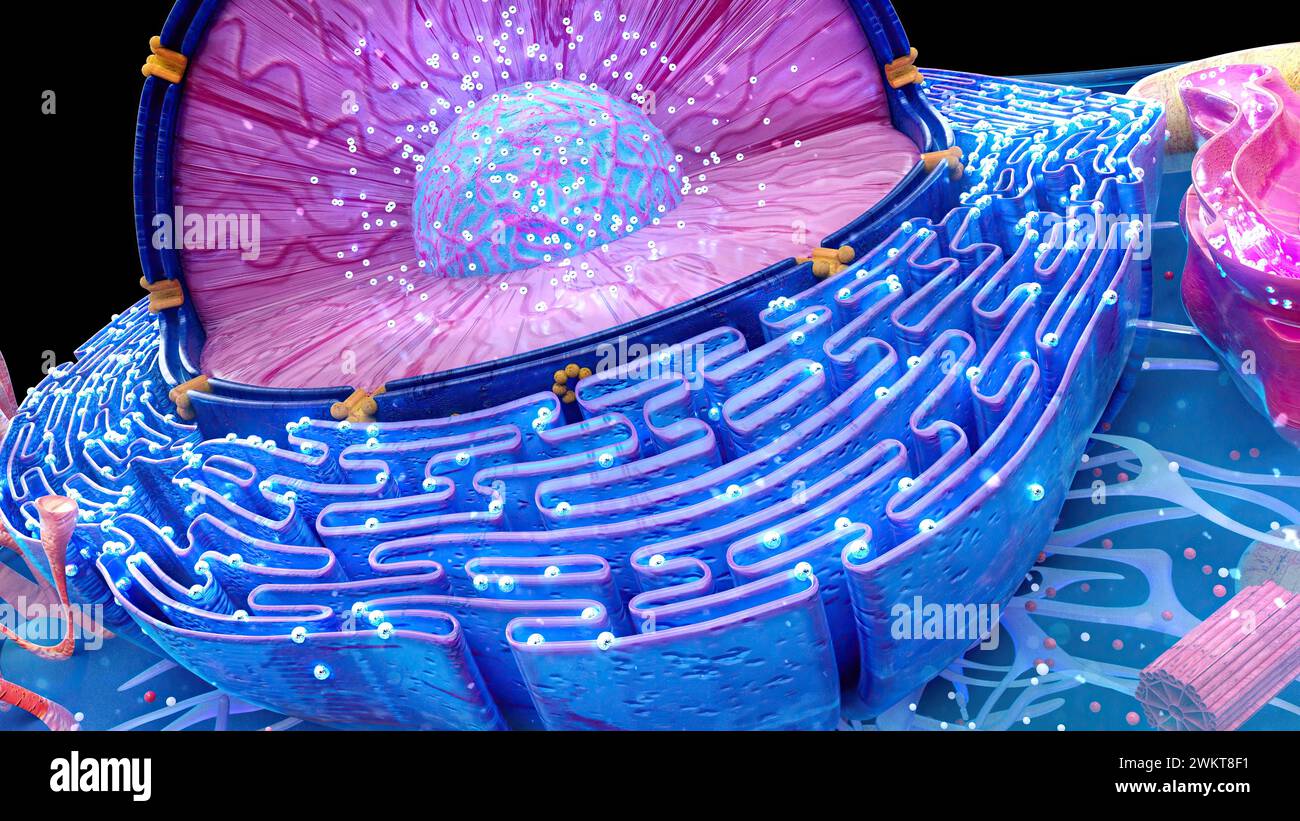 Abstract illustration of the biological cell Stock Photo - Alamy