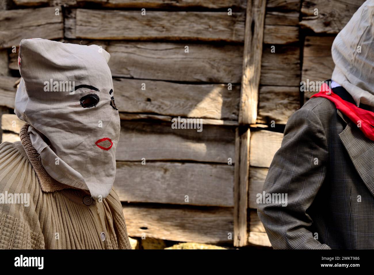 Mask melon hi-res stock photography and images - Alamy