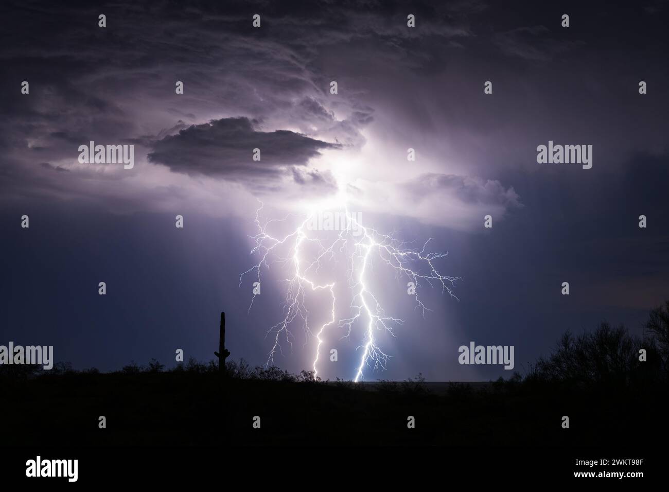 Monsoon thunderstorm lightning strike in the Arizona desert Stock Photo ...