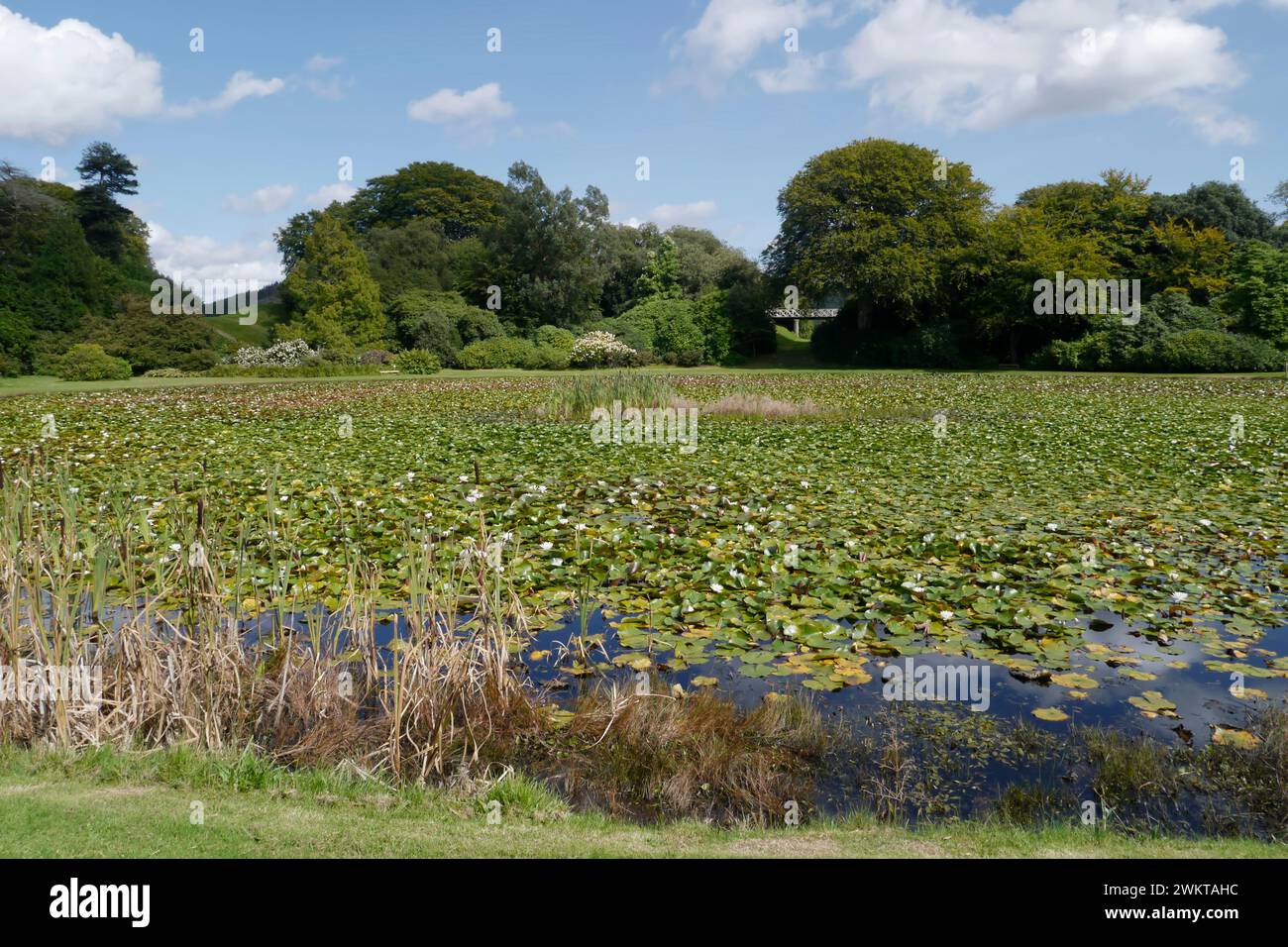 the round lily pond, Castle Kennedy Gardens, Dumfries and Galloway ...