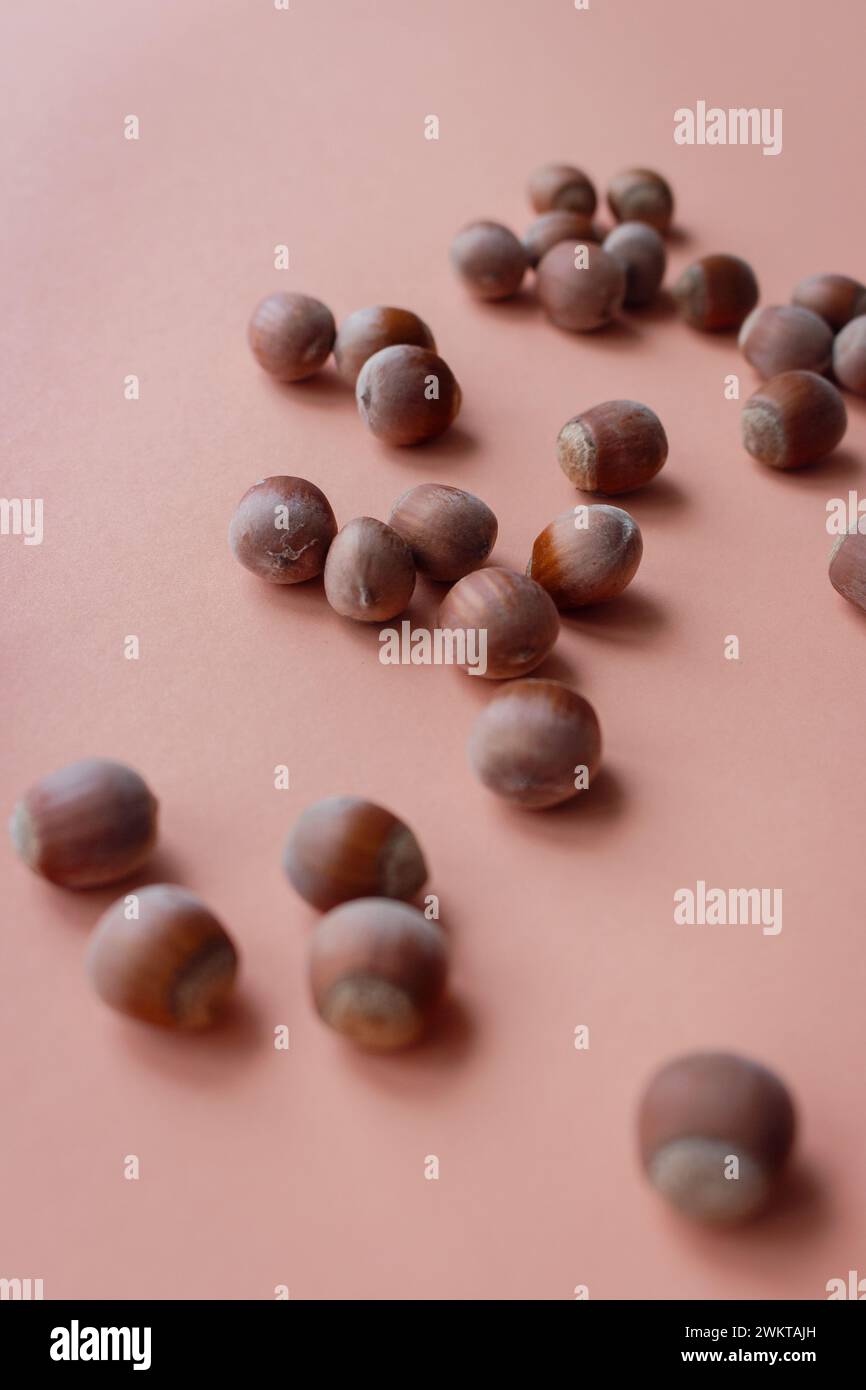 Hazelnuts on peach fuzz colour background. Heap of nuts on background ...