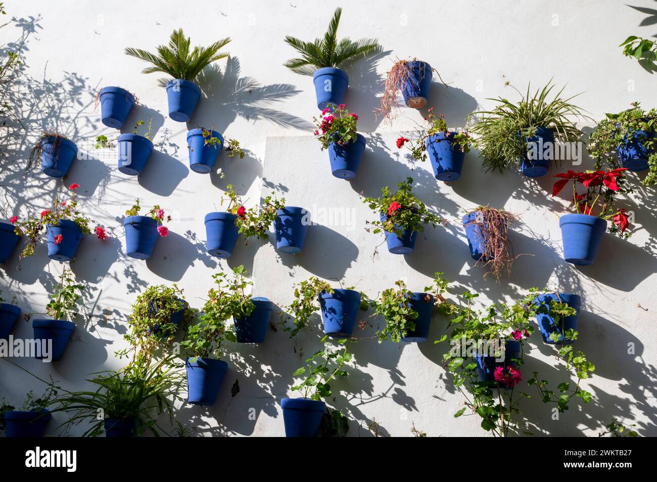 A wall display of flower pots filled with young plants at a restaurant ...