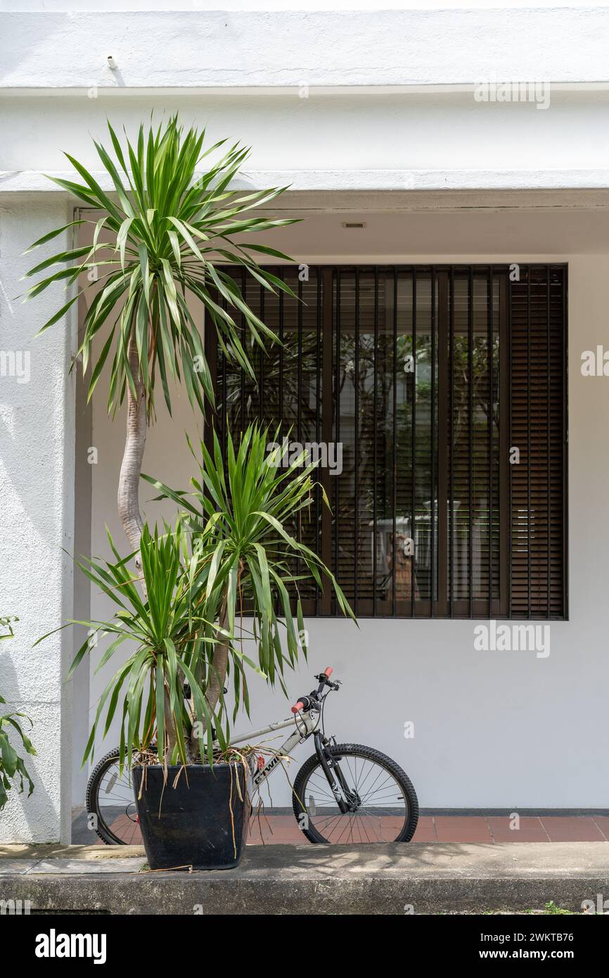 A bike resting in front of a window on a home exterior Stock Photo - Alamy