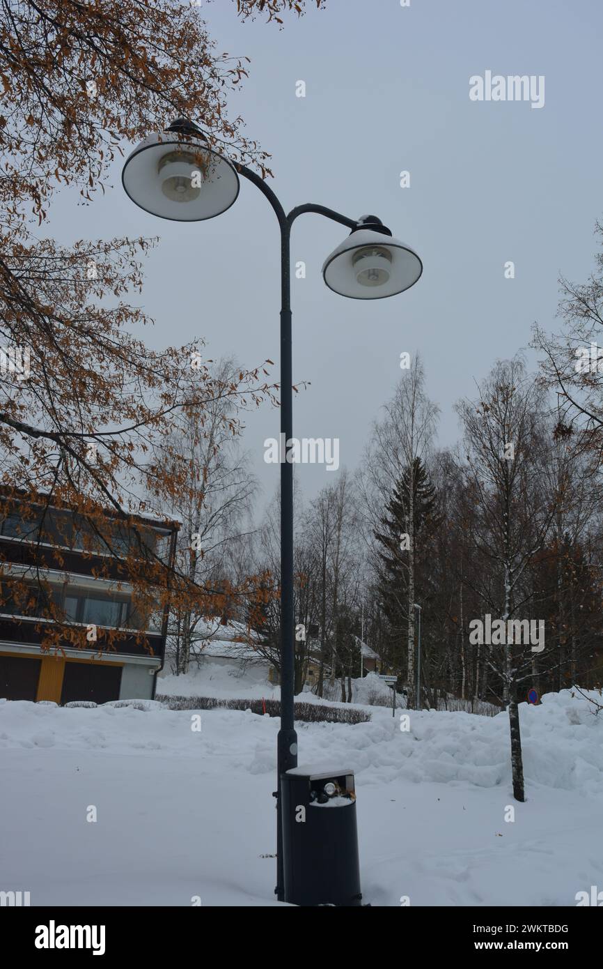 Street floodlights, street lighting, large and stylish lamps are located in the park area of ...