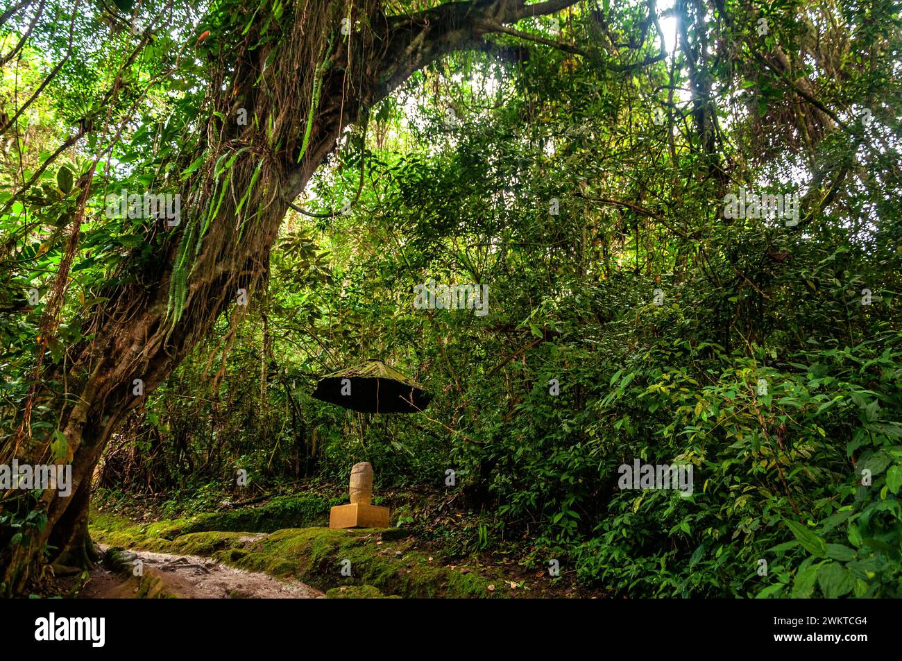 Ancient statue in the jungle in the San Agustin Archeological Park in ...