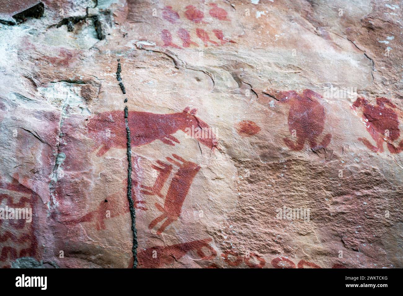 Rock art in Cerro Azul in Guaviare, Colombia featuring a capybara, the ...