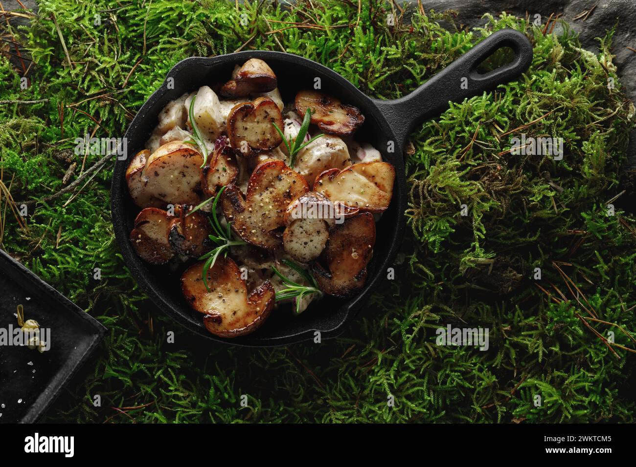 Fried forest mushrooms boletus served in iron cast pan on the green ...