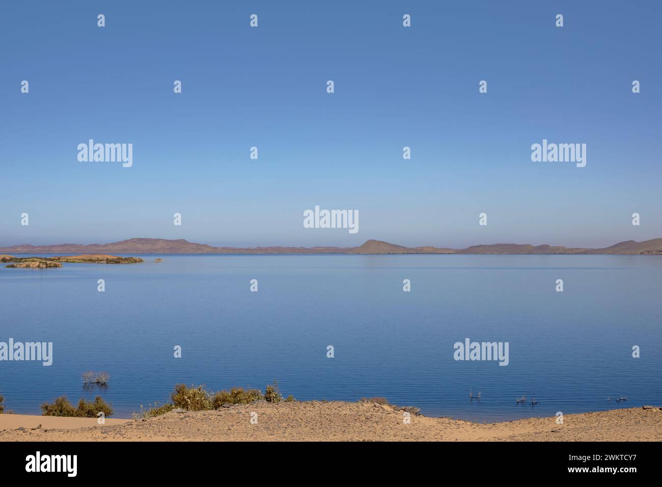 Egyptian revolution 1952 hi-res stock photography and images - Alamy