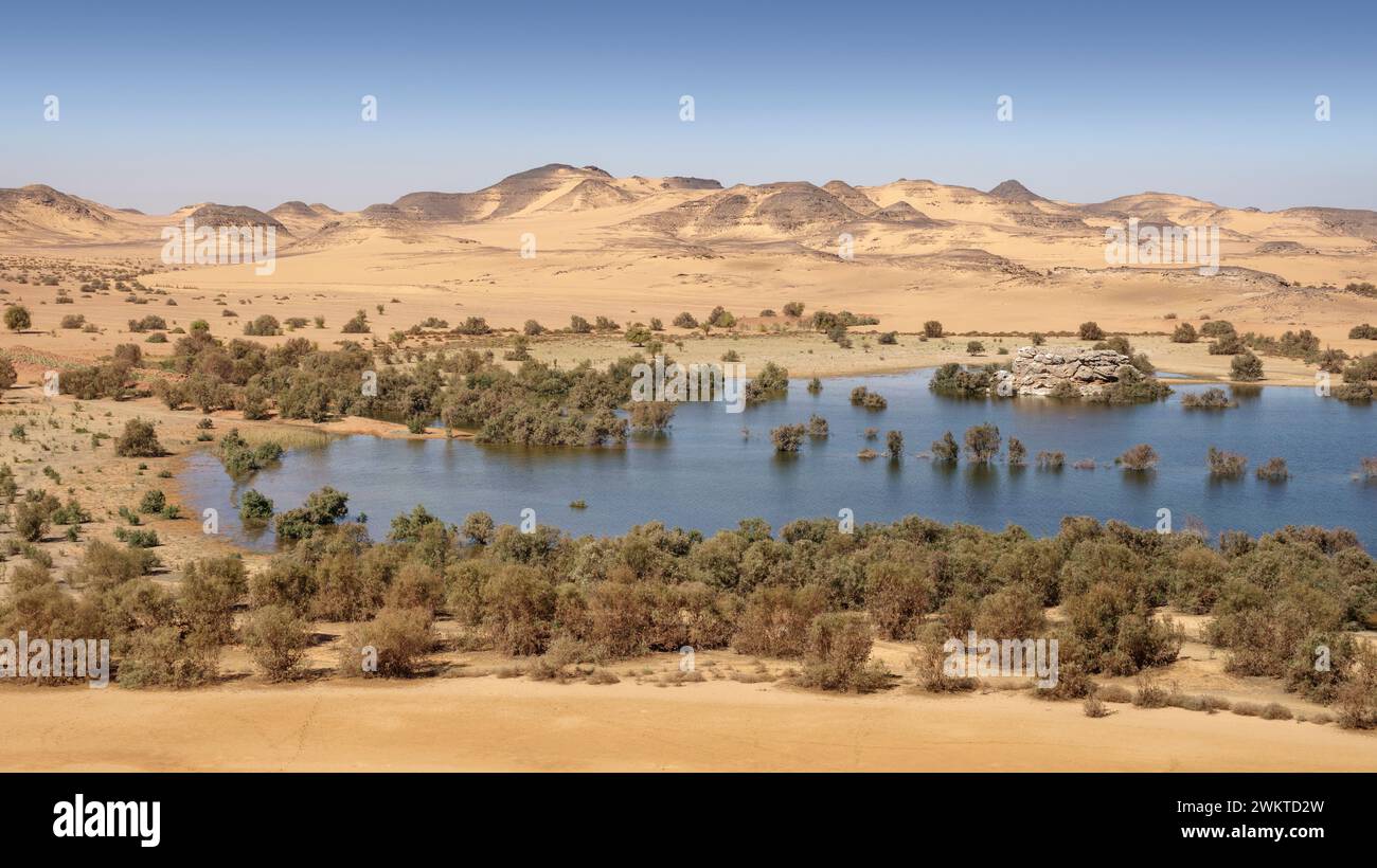 Egyptian revolution 1952 hi-res stock photography and images - Alamy