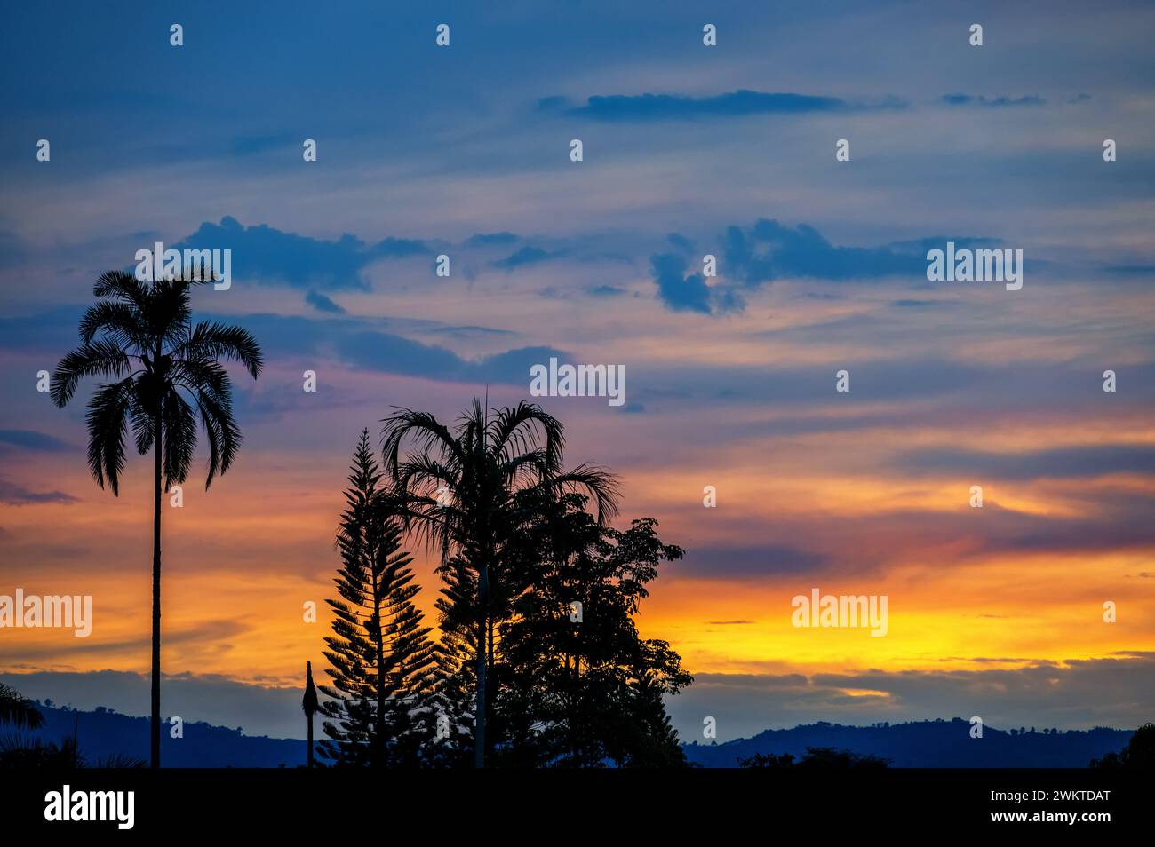 Palm trees stunning sunset hi-res stock photography and images - Alamy