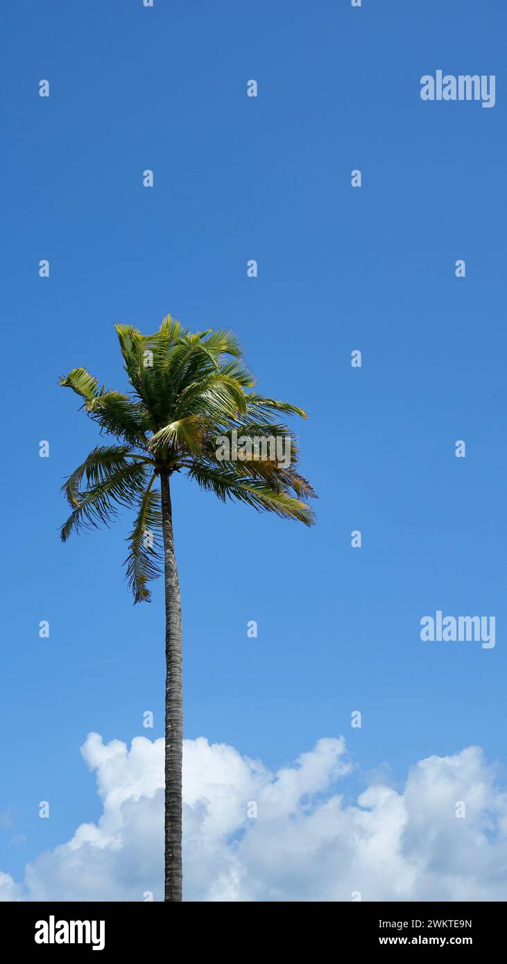 Tourism aesthetic wallpaper hi-res stock photography and images - Alamy