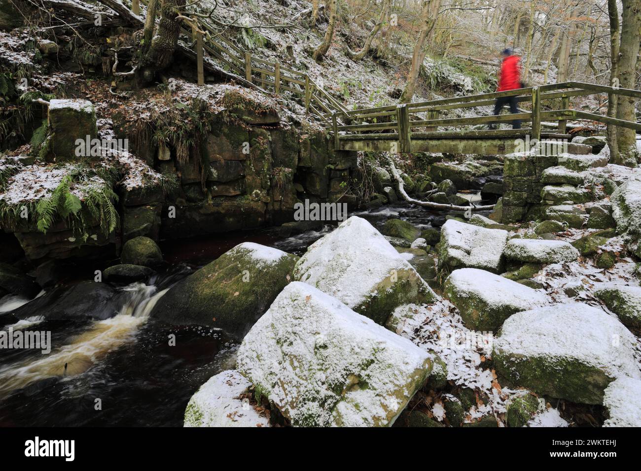 Walke on the bridge over Padley Gorge near Grindleford village, Peak ...