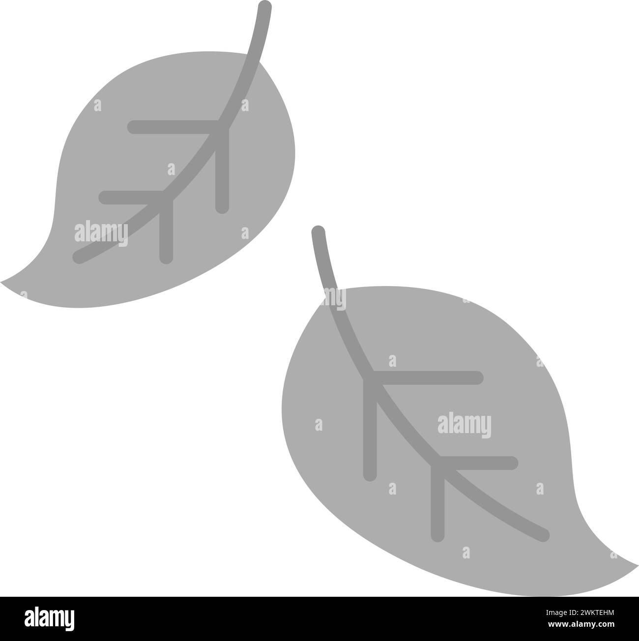 Fallen green leaf Stock Vector Images - Alamy