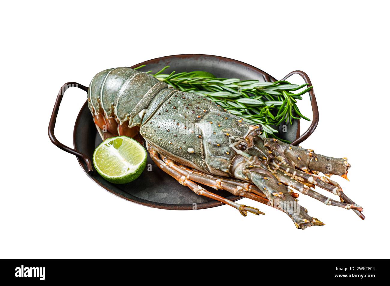 Cooking Spiny lobster or sea crayfish with herbs and spices. Isolated ...