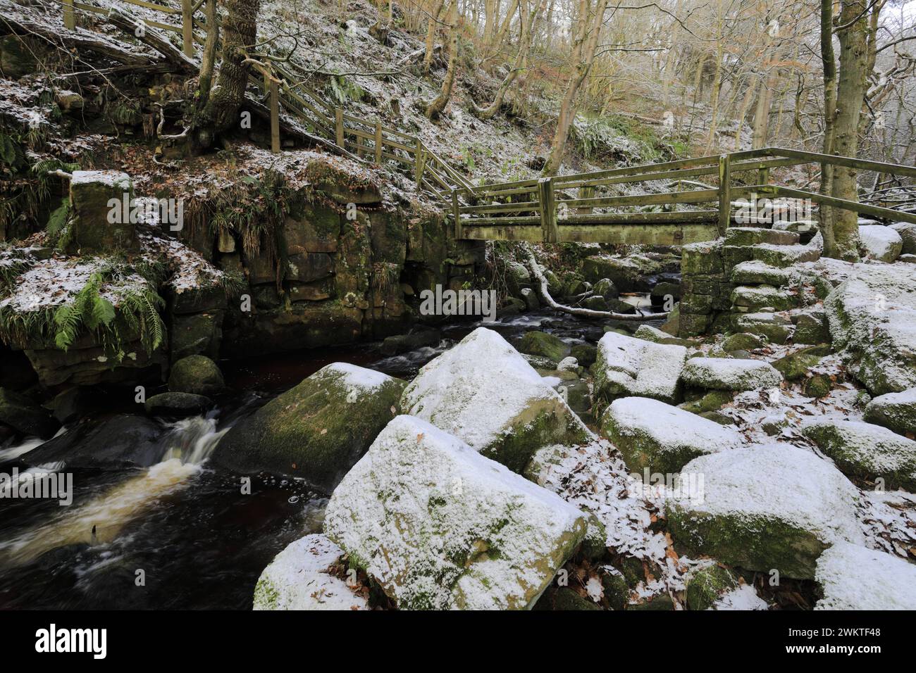 Winter view of ancient woodland in Padley Gorge near Grindleford ...