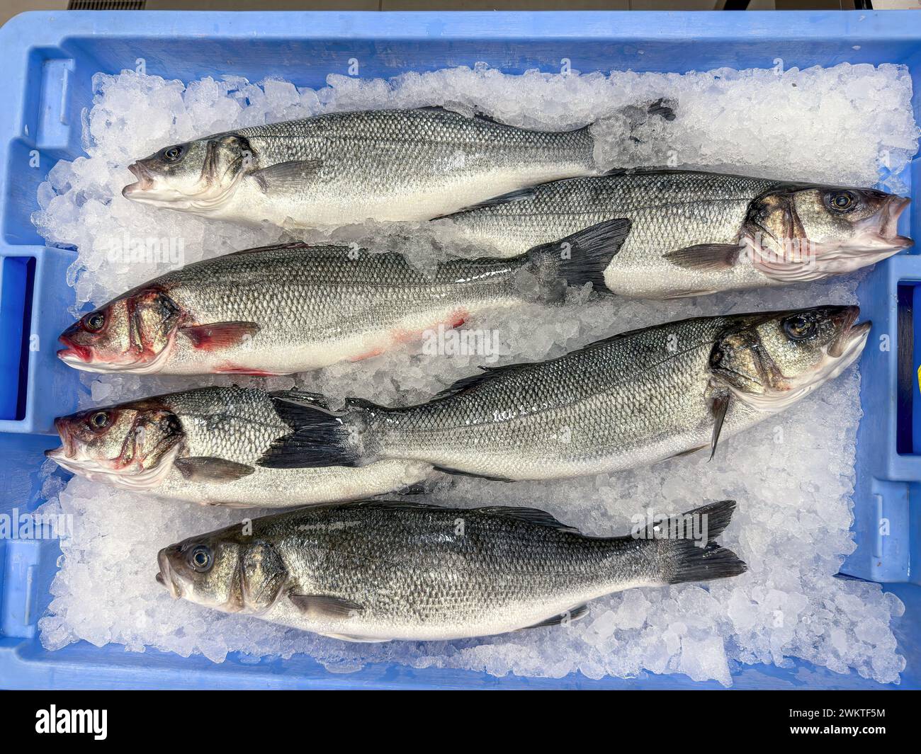 Fresh fish in supermarket, Alicante, Spain Stock Photo - Alamy
