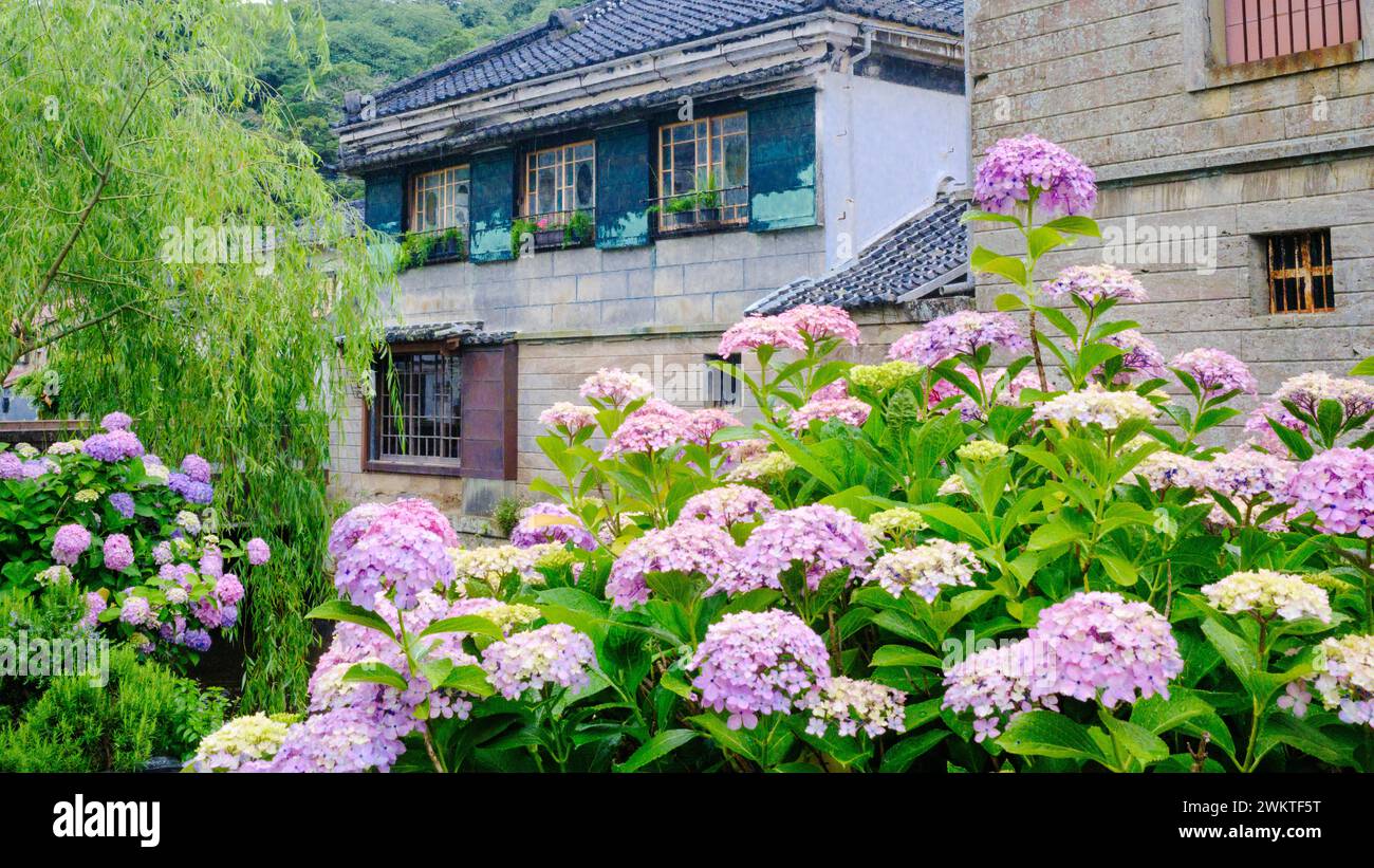 Nestled alongside Perry Road, in this charming district of Shimoda in ...