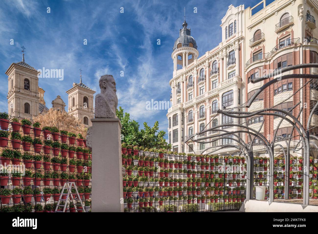 árbol ornamental hi-res stock photography and images - Alamy