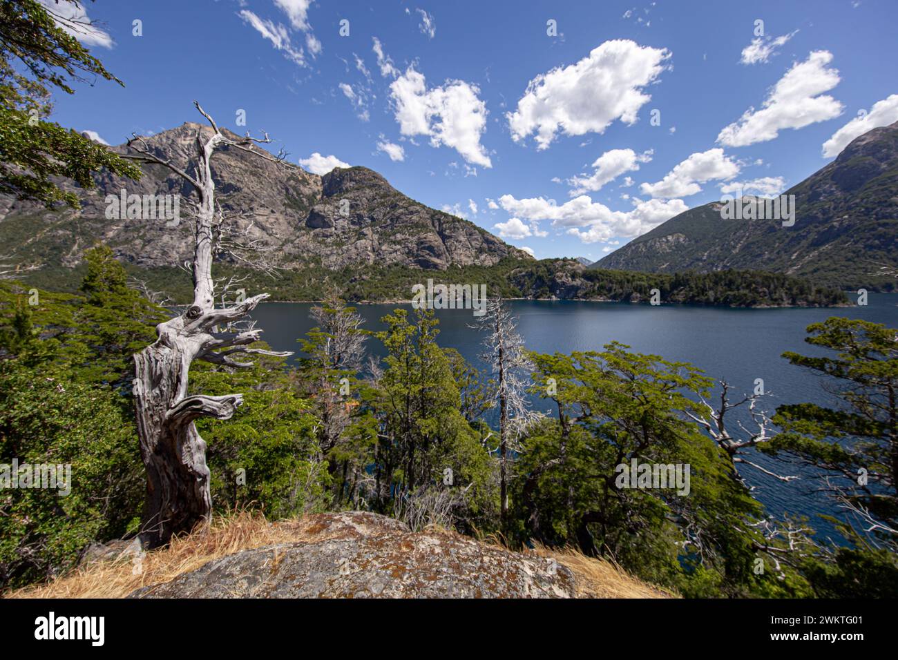 landscape view of Bariloche in the summer, Argentina, South America ...